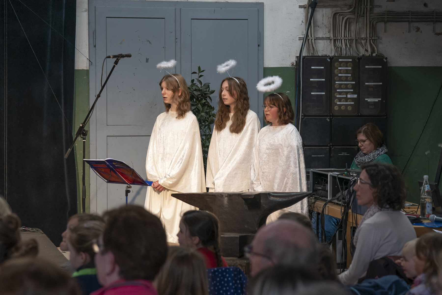 Die Schöpfung – Hochrheinjournal-WT